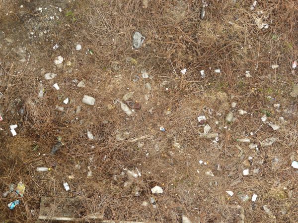 rocky dried grass texture 0014 - Texturelib